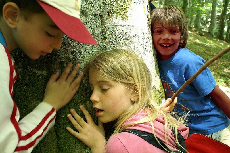 Cathedral Trees Sanctuary – A Conservation and Restoration Burial Project